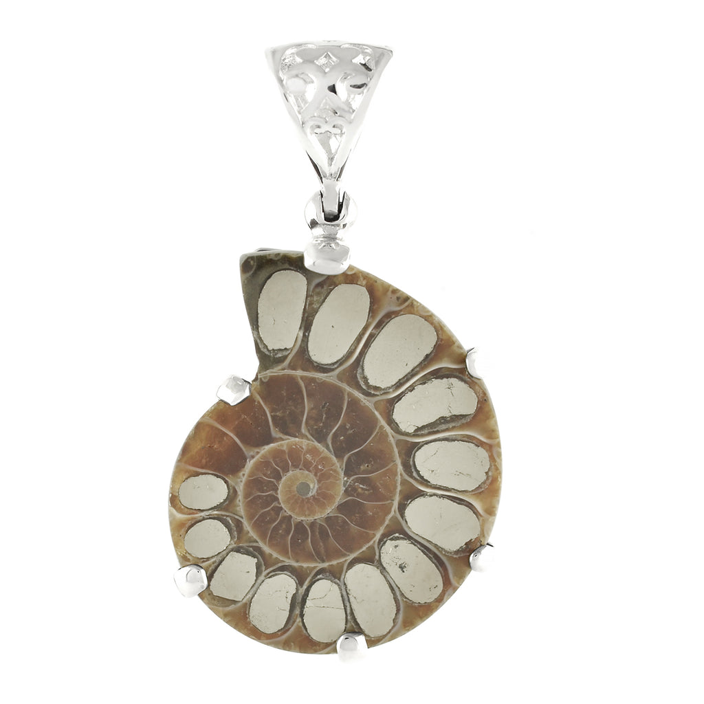 Pyrite Inlaid Ammonite Pendant with Filigree Details | Starborn